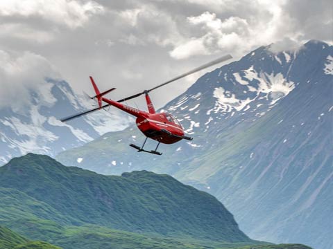 Glacier Explorer Tour - Alpine Air Alaska