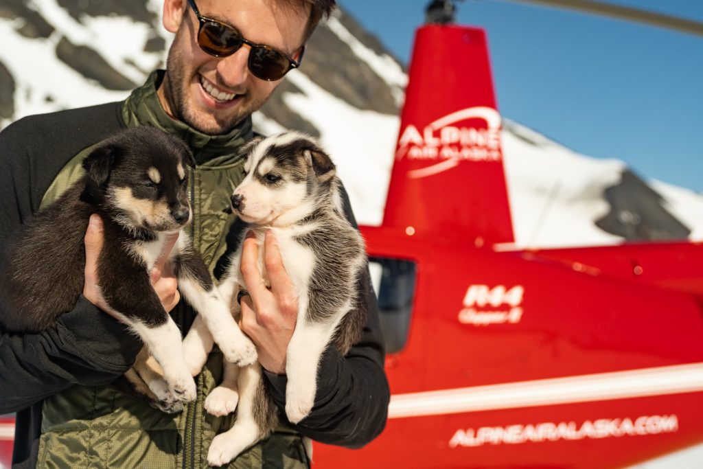 The Ultimate Alaska Summer Tour: The Best of the Best - Alpine Air Alaska